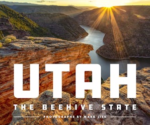 Utah: The Beehive State – Abrams Books